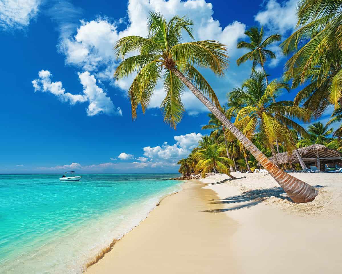 Hard Rock Punta Cana Review | An Honest Review